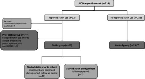 Flowchart Of Patient Groups Patients That Discontinued Statin Prior Download Scientific