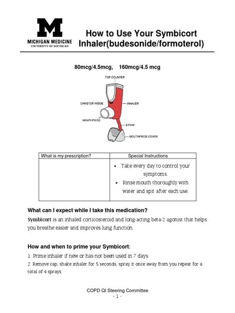 How To Use Your Symbicort Inhaler Budesonide Formoterol 80mcg 4