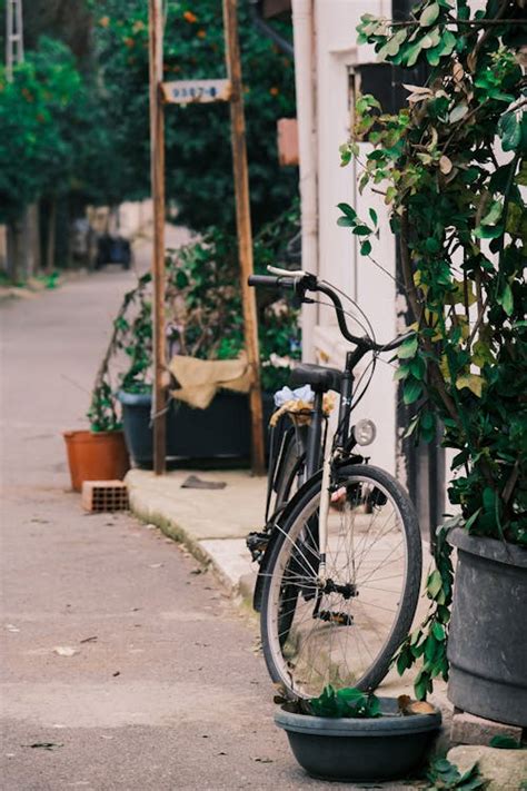 기둥 수직 쐈어 열주 장식적인 통로 화분에 심은 식물에 관한 무료 스톡 사진