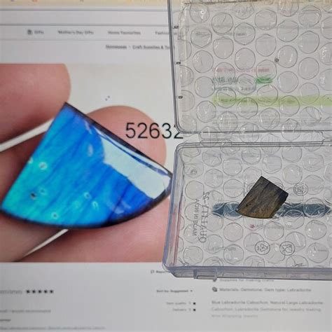 Selected Dendrite Fossil Cabochon Natural Dendrite Fossil Natural Gemstone For Jewelry Making