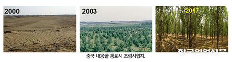 ‘사막화와 가뭄 방지의 날 사막화 막기 위해 국제공동연구 강화