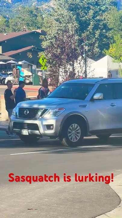 Sasquash Is Lurking 🤣 Youtube