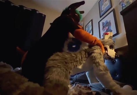 Fursuit Sex Video 54