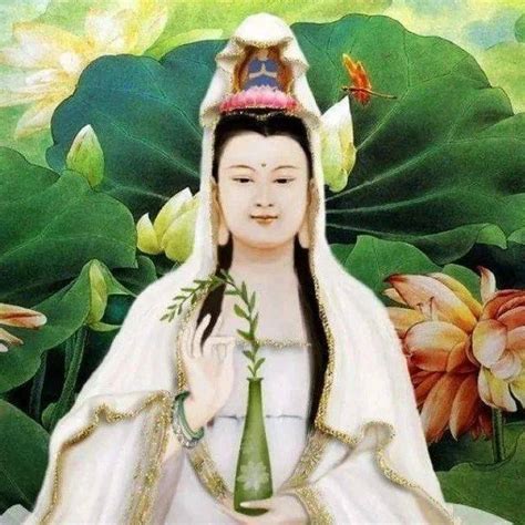 佛说 这些常见经典的禅语能看懂的人都有福气句句经典 人生 生活 因为
