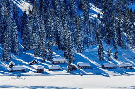 ზამთრის ზღაპარი ბახმაროდან ფოტორეპორტაჟი გურიის მოამბე