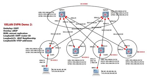 Vxlan Bgp Evpn Configuration Example Rayka Are You A Network