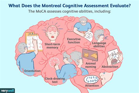 A Guide To Knowing All About Cognitive Competency Mummy Matters