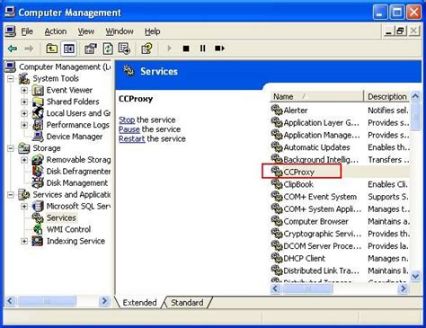 how to run ccproxy software as soon as the proxy server starting without login