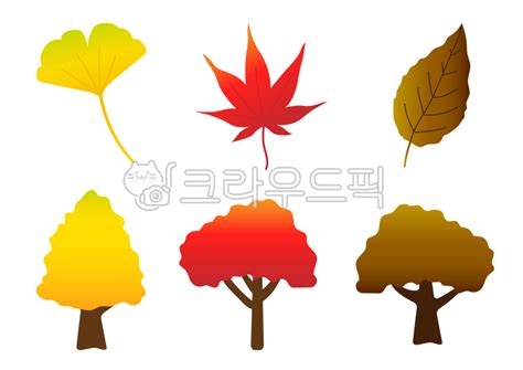 낙옆 가을 은행잎 단풍잎 Leaf 사진 이미지 일러스트 캘리그라피 Ye Onew작가