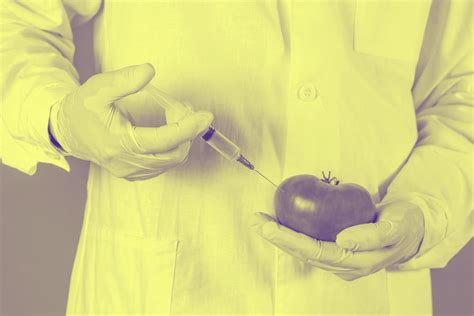 Chemical Hazards In Food Examples And What Handlers Can Do To Prevent