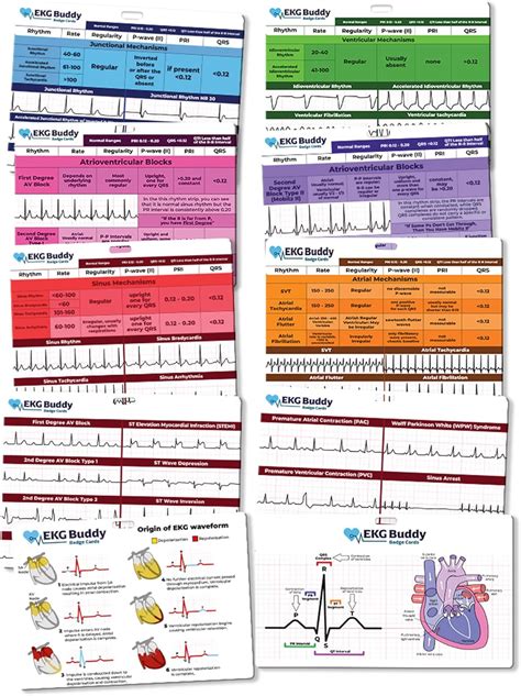 Ekg Buddys 5 Card Ekg Interpretation Badge Set Doubled Sided Nurse Ecg Cards