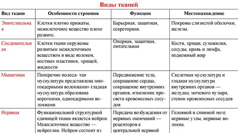 Организм человека и его здоровье презентация онлайн