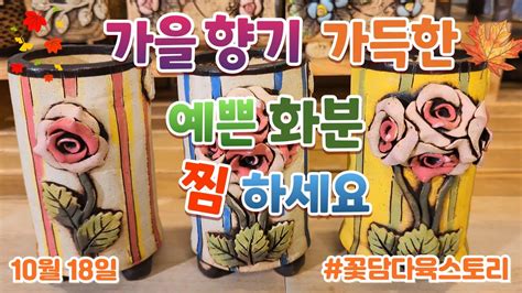 10월 18일 가을향기 가득한 예쁜 화분 찜 하세요 화분 꽃담다육스토리 예쁜화분 화분싸게파는곳 다육식물 多肉植物