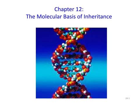 PPT Chapter The Molecular Basis Of Inheritance PowerPoint Presentation ID