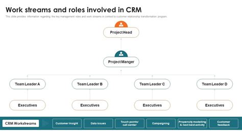 Work Streams And Roles Involved In Crm Customer Relationship Management Toolkit Ppt Sample