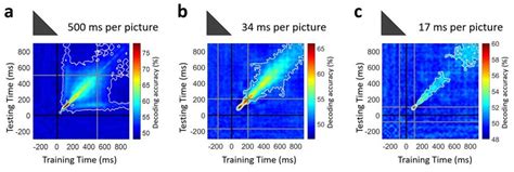 Temporal Generalization Of Target Image Decoding For The 500 34 And Download Scientific