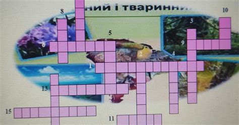 Кросворд з ЯДС за підручником Т Гільберг для учнів 4 класу на тему Рослинний і тваринний світ