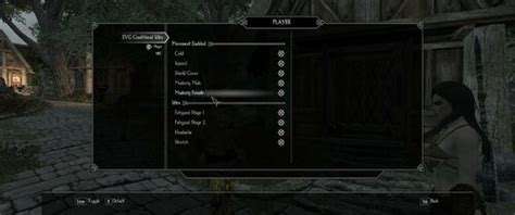 Cover Self Animation For Remodel Armor Cbbe Hdt And Devious Device