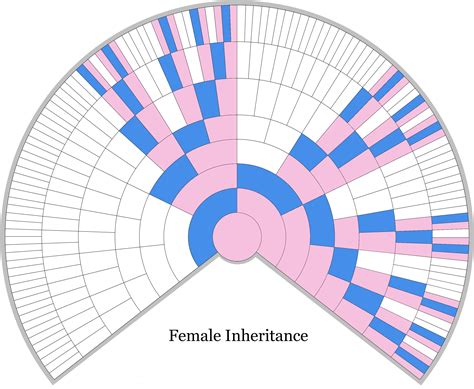 X Y Chromosome Chart