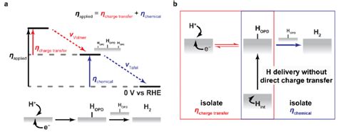 Overpotential In Heterogeneous Hydrogen Catalysis Is Comprised Of