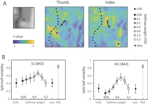 Comparison Of Different Methods To Characterise The Spatial Layout Of Download Scientific