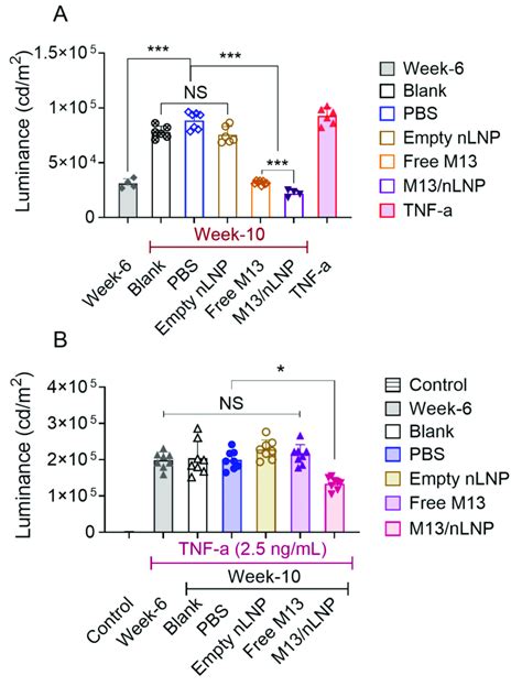 The Effects Of M13 Nlnp Incubated Microbiota Secreted Metabolites On Download Scientific