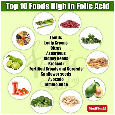 Folic Acid Rich Foods Recipes Vulgar Porno Pics