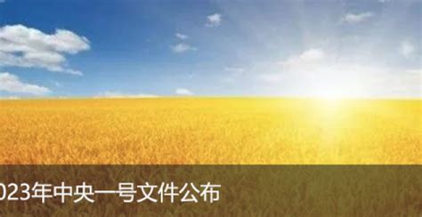 从新时代中央一号文件领会总书记对“三农”工作战略指引腾讯新闻
