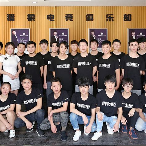 lol代练英雄联盟手游端游打排位定位赛刷宝典等级代币代肝通行证 虎窝淘