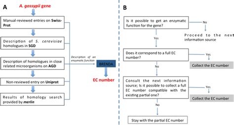 schematic representation of the re annotation pipeline a order for download scientific