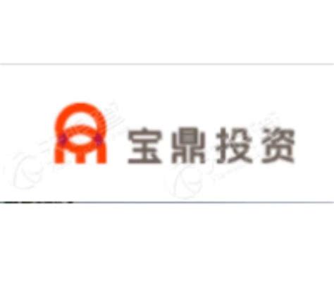 上海宝鼎投资股份有限公司0 2 的股权拟对外转让 资产处置 阿里拍卖
