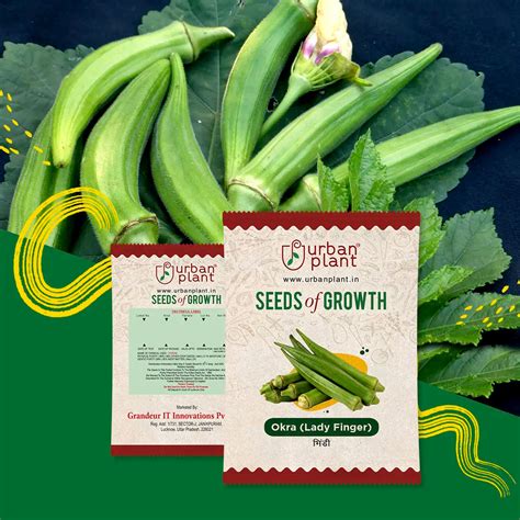 Okra Seeds Lady Finger