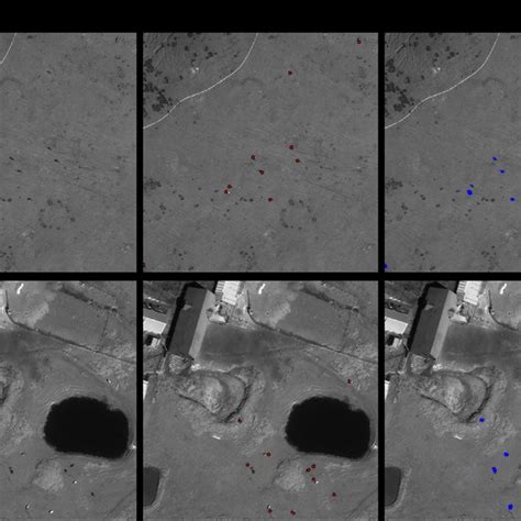 Examples Of Vhr 03mpx Panchromatic Imagery Point Labels And Download Scientific Diagram
