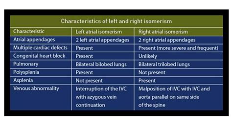 Segmental Analysis Of Heart Anatomy Pptx Heart And Cardiovascular