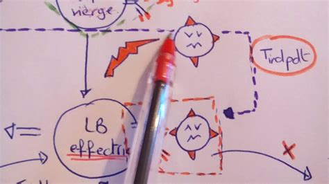 Rm Lb Lbm Plasmocytes Différenciation V Algérienne Youtube