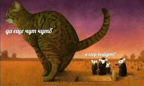 Пин от пользователя Руслан на доске Ваши пины Мемы Смешные надписи Забавные картинки