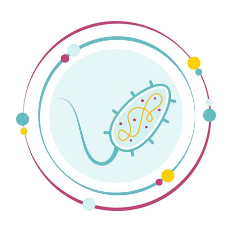 Ilustración Del Vector De Las Bacterias Procariotas Símbolo Gráfico Del
