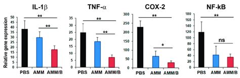 Amm B Injection Suppresses Inflammation In Joint Tissue Qrt Pcr