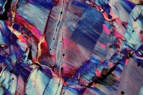 Serpentinized Peridotite Lm Stock Image C050 2591 Science Photo