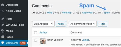 How To Delete WordPress Spam Comments One Click And Automate It