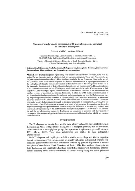 Pdf Absence Of Sex Chromatin Corresponds With A Sex Chromosome Univalent In Females Of Trichoptera