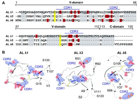 Sequence Alignment And Location Of The Mutational Positions In The Download Scientific Diagram
