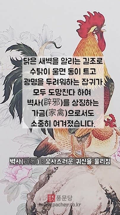 새해에 가장 어울리는 풍수 그림은 무엇일까 Youtube