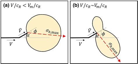 Schematic View Of Dynamic Hoop Stress At The Kinked Crack Tip And Download Scientific Diagram