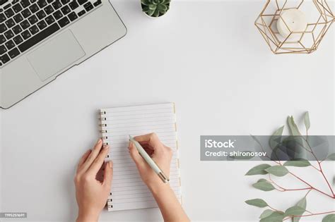 노트북의 빈 페이지 위에 펜을 들고 젊은 여성 사무직 노동자의 손 노트북에 대한 스톡 사진 및 기타 이미지 노트북 한 명의 여자만 꽃 식물 Istock