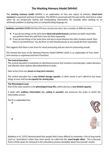 Aqa A Level Psych Memory Working Memory Model Teaching Resources