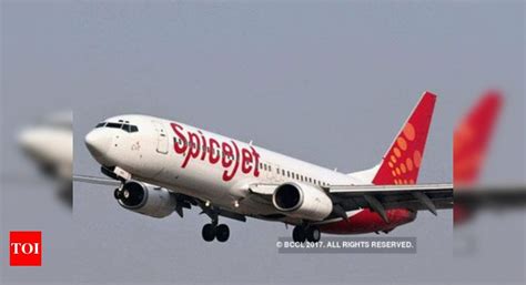 Spicejet Technician Gets Stuck In Aircrafts Landing Gear Door At
