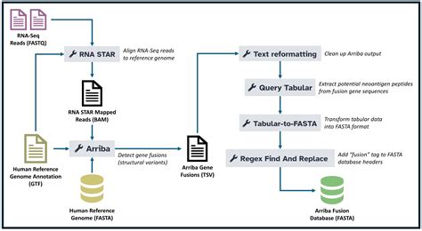 Hands On Neoantigen 1a Fusion Database Generation Neoantigen 1a Fusion Database Generation
