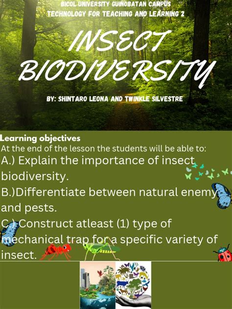 Insect Biodiversity Pdf Insects Pest Organism