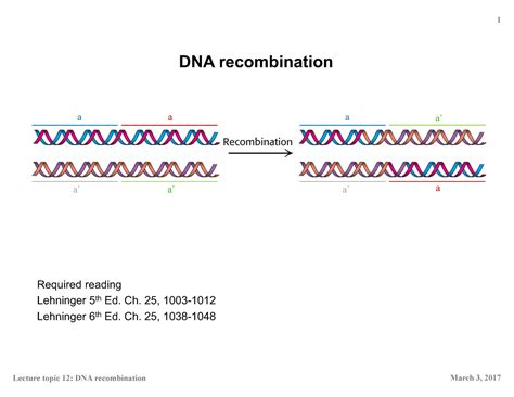 Lecture 12 Dna Recombination Pdf Dna Recombination March 3 2017